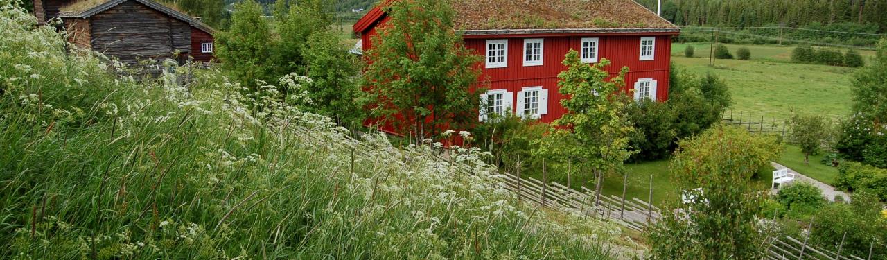 Kulturkontor - Rendalen kommune