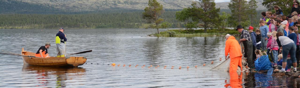 Jakt og fiske, viltforvaltning - Rendalen kommune