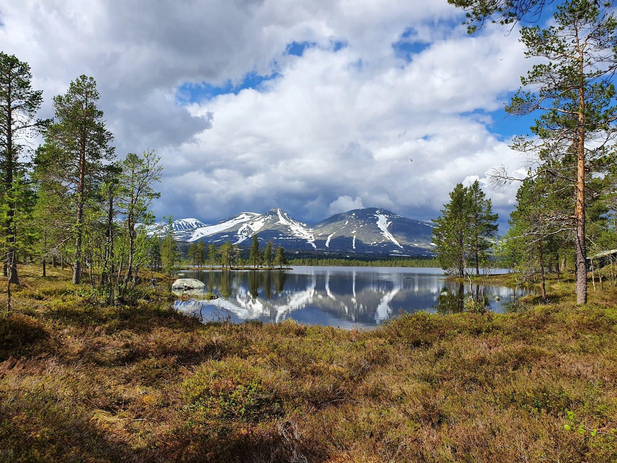 Sølenroa - Rendalen kommune